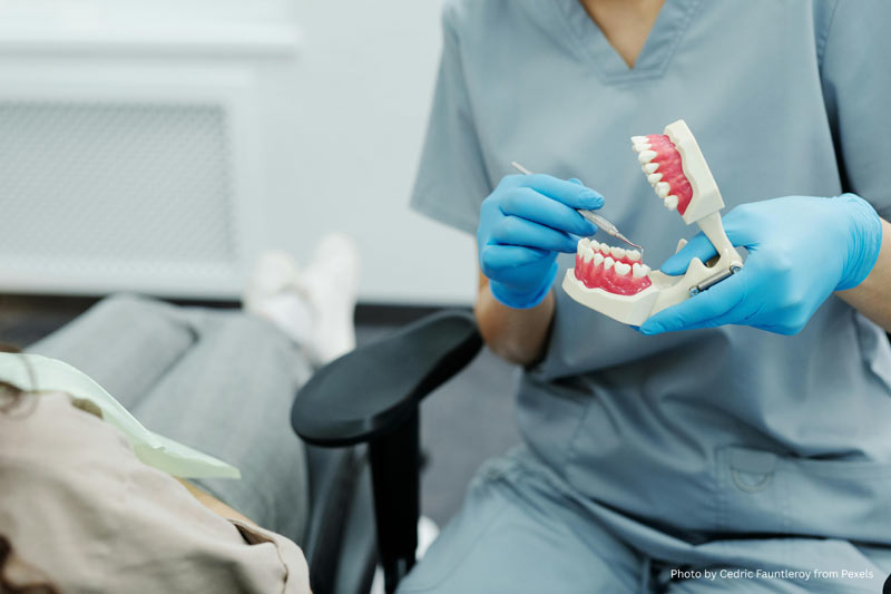 Healthy Gums - Foods to Eat, Healthy Habits to Help